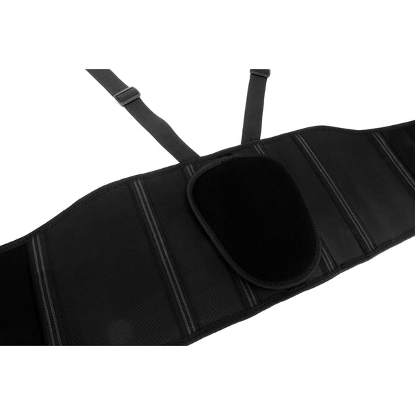 AL-Gard Deluxe Heavy Duty Back Support Belt with Additional Removable ...